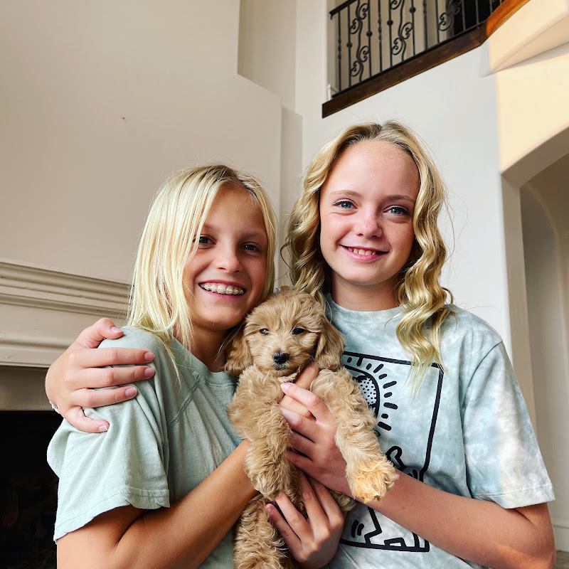 Jazzy Skye Age Height Weight Net Worth